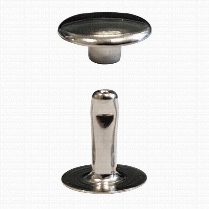 Buy your Rivets: Rivets 36 Single cap Brass nickel-plated 36/10 per 100 ...